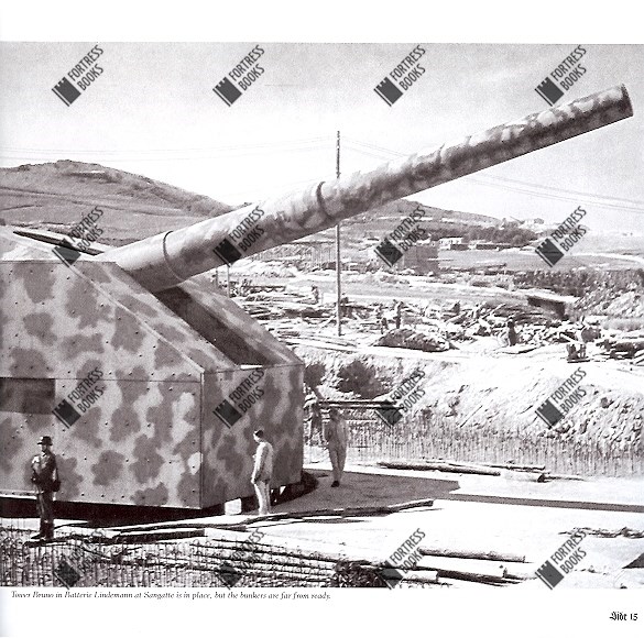 Fortress Books | The Adolf Guns in the Batteries at Dietl, Theo ...