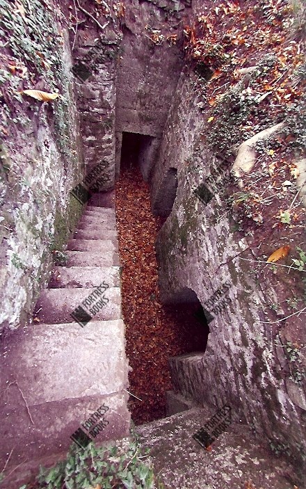 Fortress Books | The Major Subterranean Works along the Northern Frontier