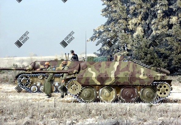 Fortress Books | Hetzer and Panzer IV/70 (V) in Color